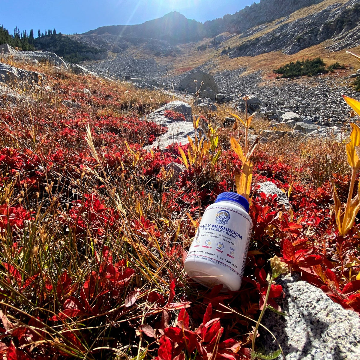 Everything You Need to Know About Peace State's Mushroom Blend